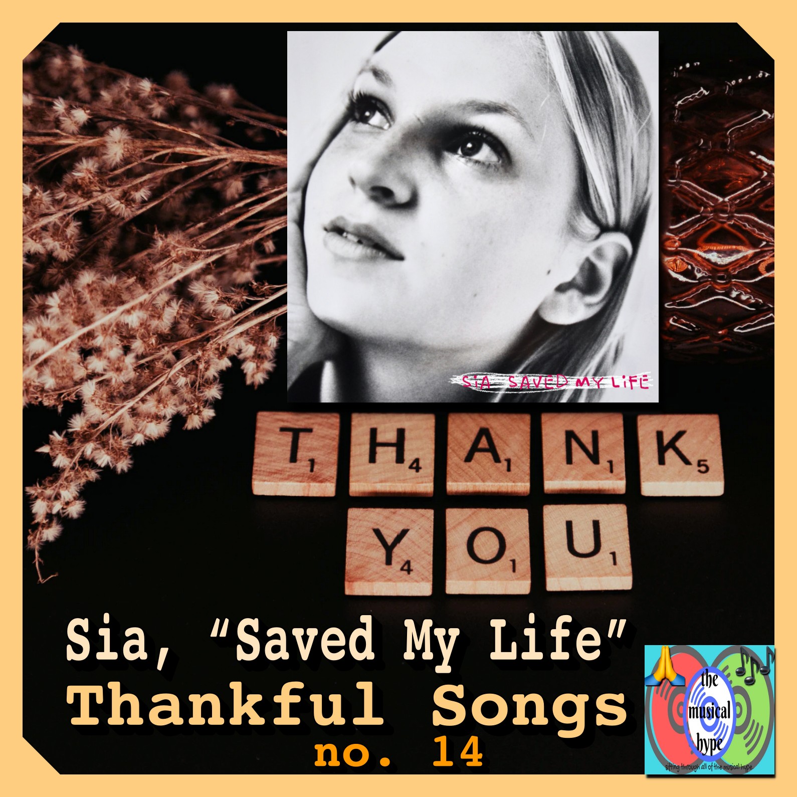 Sia Saved My Life Thankful Songs рџ џрџћ
